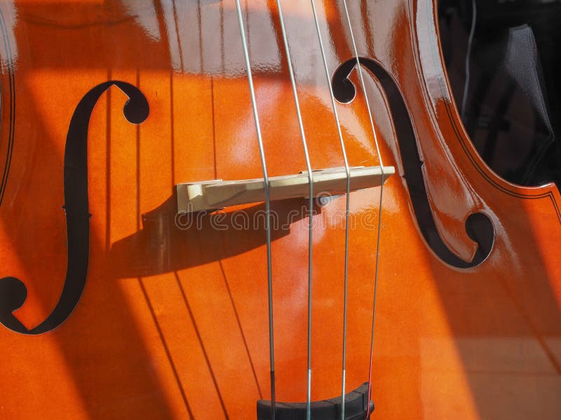 Cello Stringed Musical Instrument Stock Image - Image of cello, grass ...