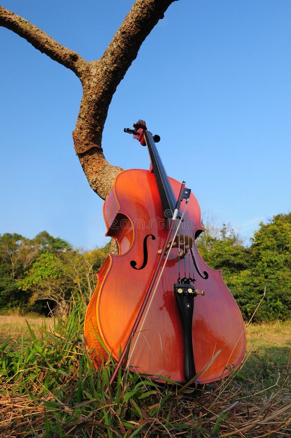 Outdoor Cello Practice in Spring Stock Image - Image of person, playing ...