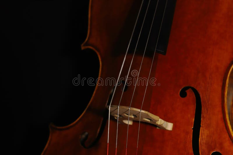 Cello Strings on Bridge of Artisan Instrument Close-up. Stock Image ...