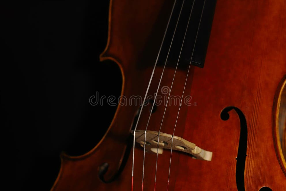 Cello Strings on Bridge of Artisan Instrument Close-up. Stock Image ...