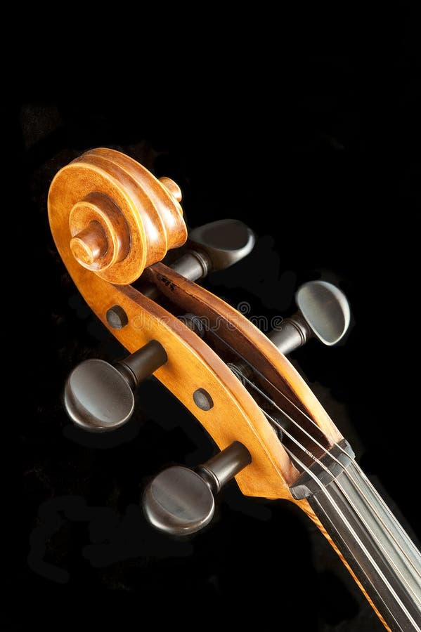 Cello or violoncello stock photo. Image of notes, equipment - 24682636