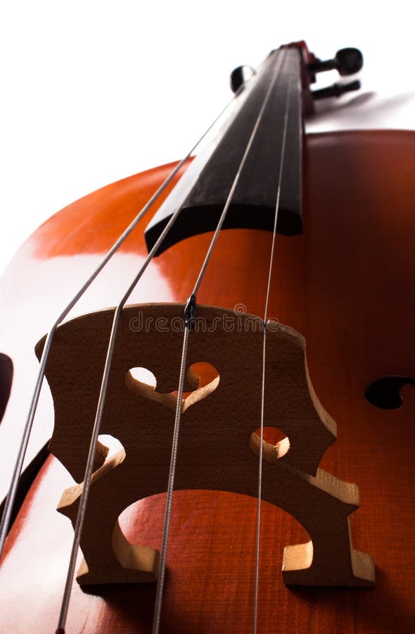 Cello on a White Background. Stock Image - Image of performance ...