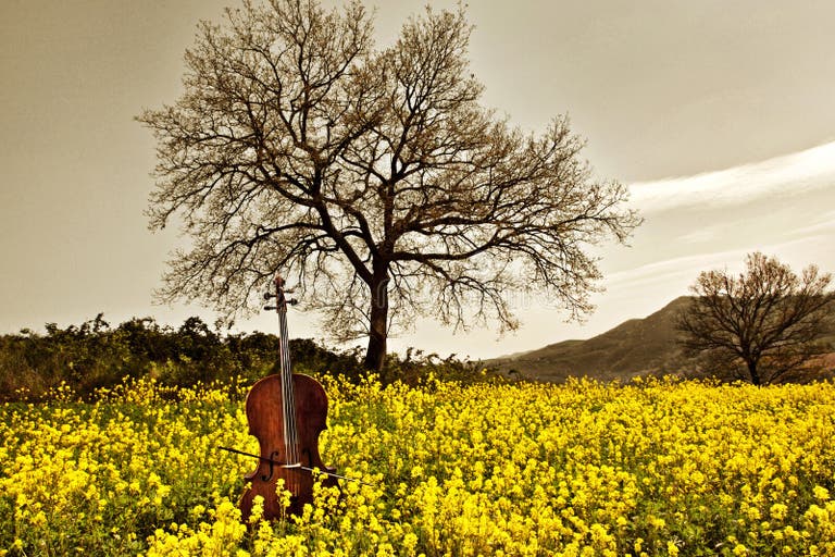 174 Cello Landscape Stock Photos - Free & Royalty-Free Stock Photos ...