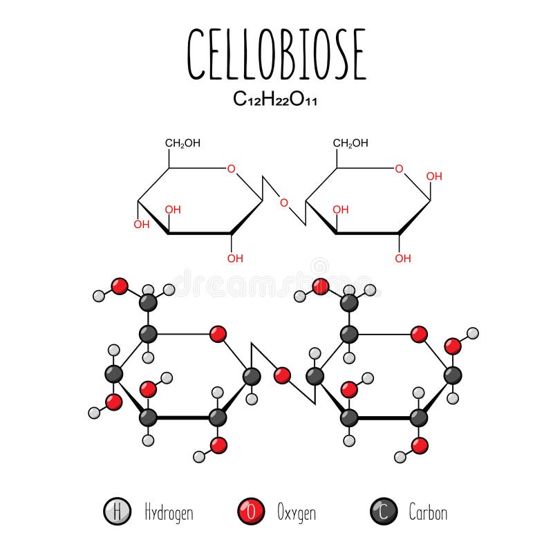 Cellobiose Skeletal and Flat Representation. Stock Vector ...