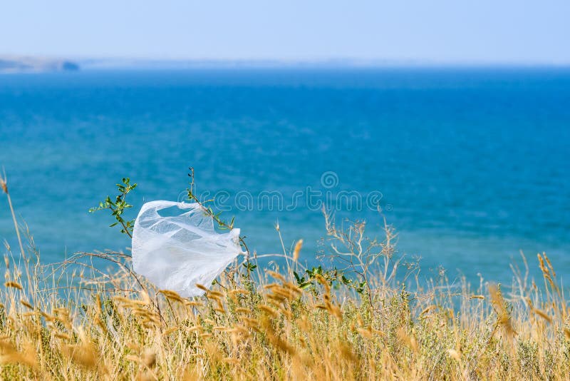 A Cellophane Bag Hangs on the Grass Against the Backdrop of the Sea ...