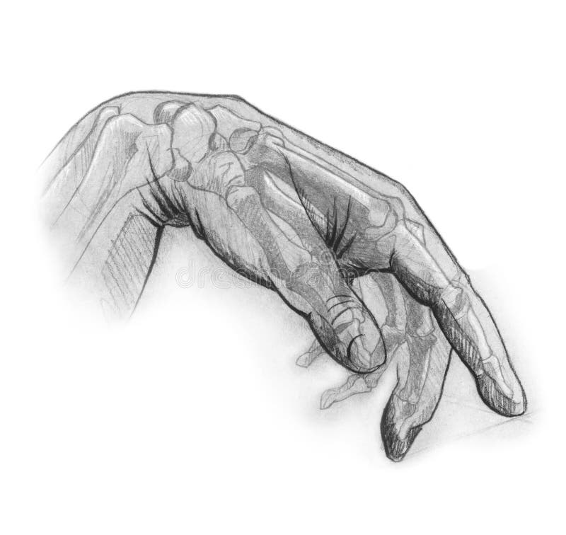 Cellophane Hand stock illustration. Illustration of skin - 266121