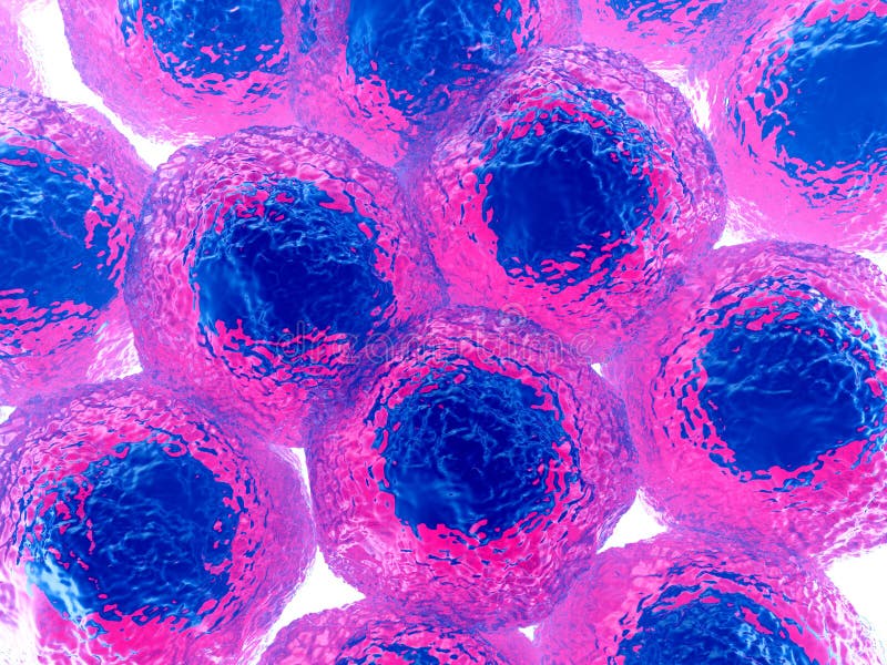 Cells stock illustration. Illustration of close, cell - 5298285