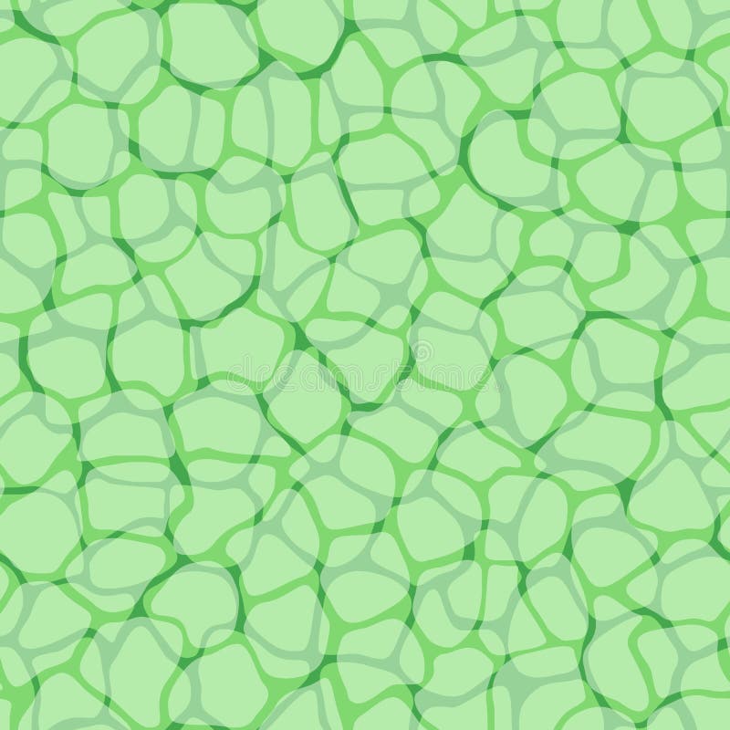 Plant Cells Micro Pattern Vector Background Stock Vector - Illustration ...