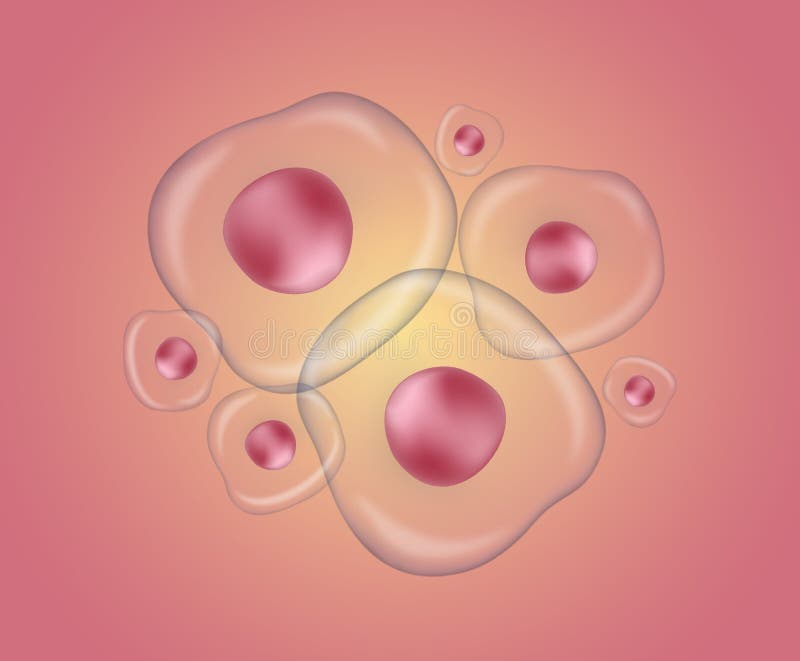 Cells - Biology stock illustration. Illustration of microscopy - 74040927