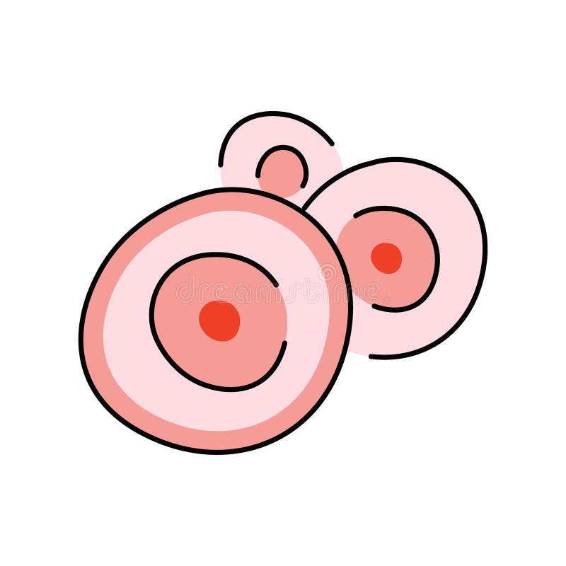 Stem Cells Color Line Icon. Cells that Can Differentiate into Other ...
