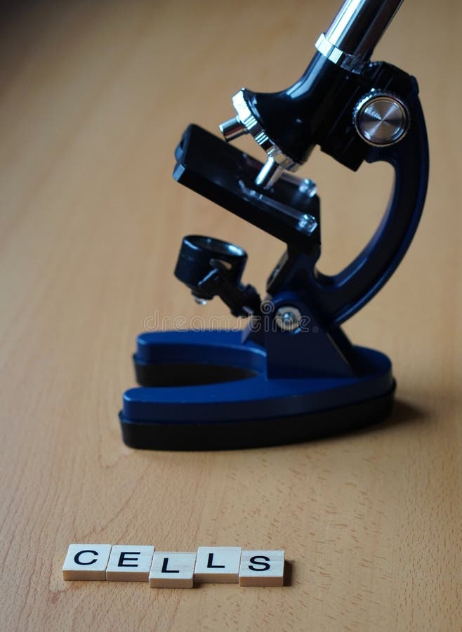 CELLS Concept, Research. Wooden Letters with a Microscope on the Table ...