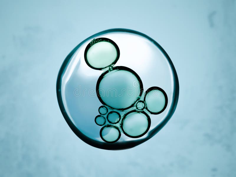 Cells Division Process, Cell Divides into Two Cells Stock Image - Image ...