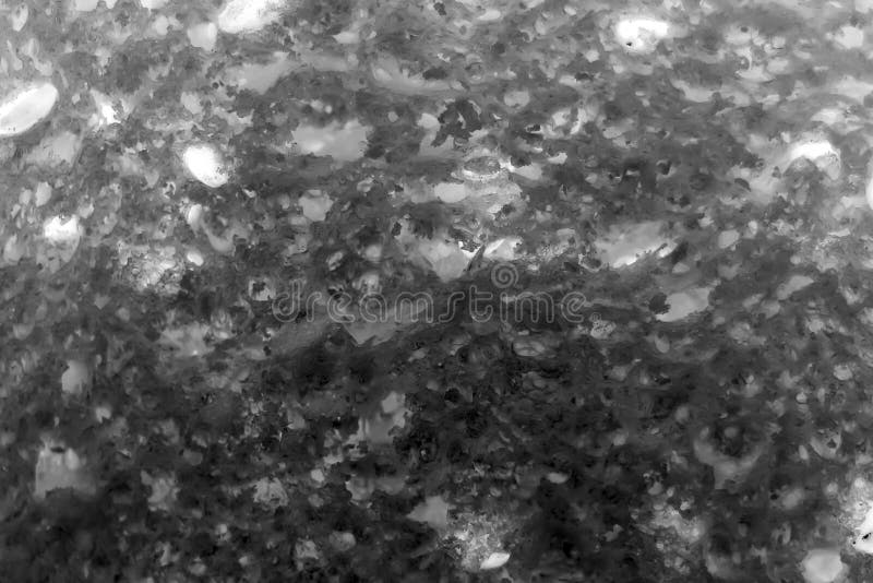 Cells of the Human Body Under the Microscope. Microbiology and Medicine ...