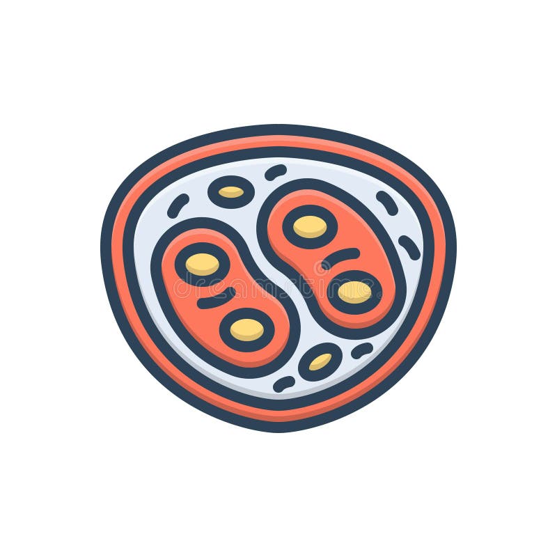 Color Illustration Icon for Cells, Human Cell and Biology Stock Vector ...