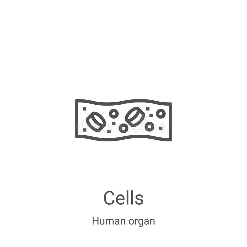 Cells Icon Vector from Human Organ Collection. Thin Line Cells Outline ...