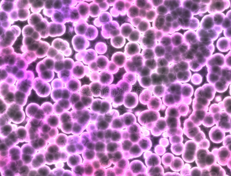 Bacteria Cells and Microorganisms Stock Photo - Image of microorganism ...