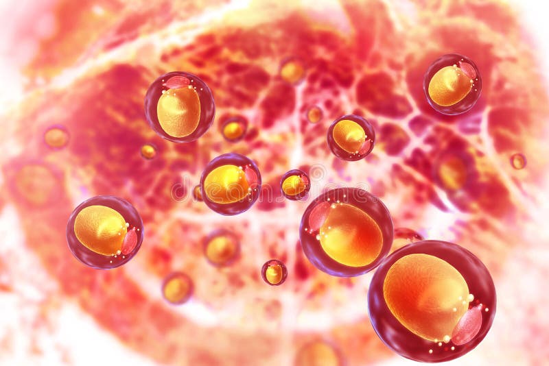 Cells with Nucleus on Scientific Background Stock Illustration ...