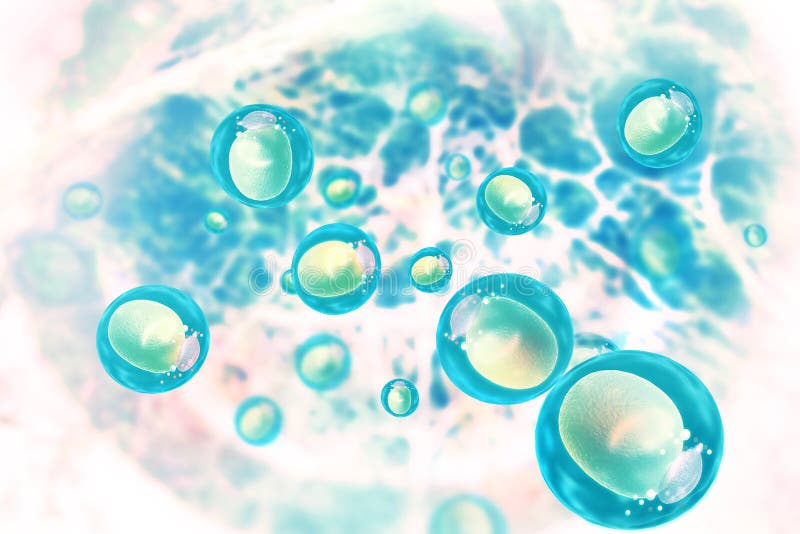 Cells with Nucleus on Scientific Background Stock Illustration ...