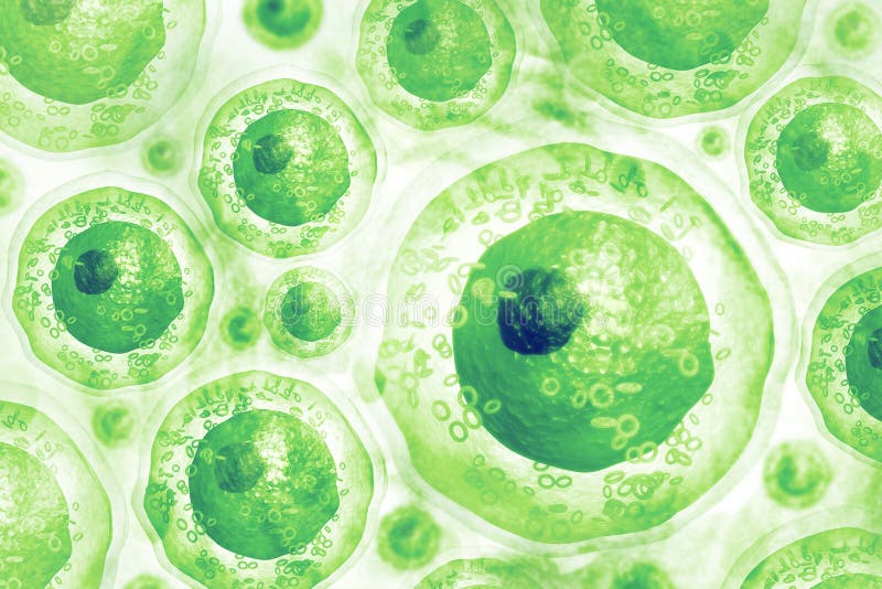 Cells on Scientific Background Stock Illustration - Illustration of ...