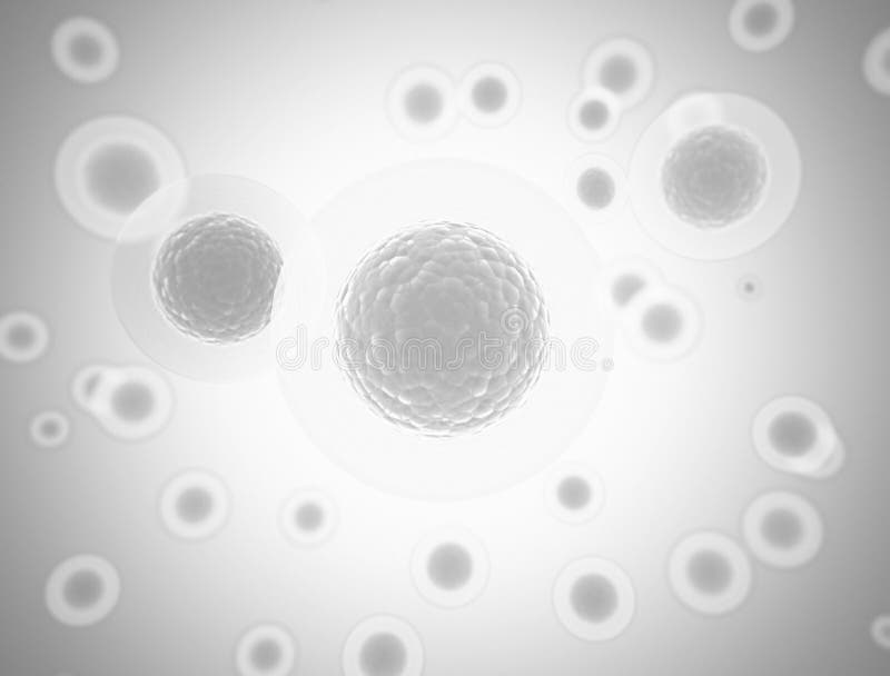 Cells under a microscope stock image. Image of microscopic - 177142349