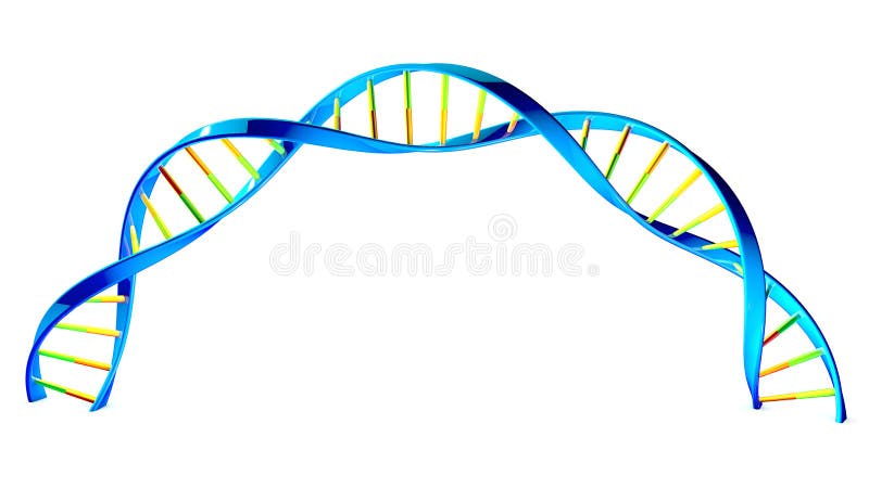 Cellula Delle Eliche Del DNA Illustrazione di Stock - Illustrazione di ...