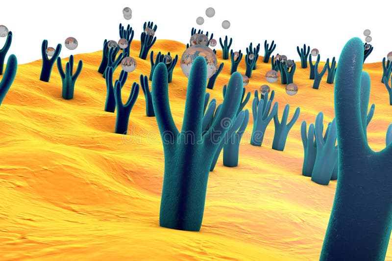 Cellulair Membraan Met Receptoren Stock Illustratie - Illustration of ...