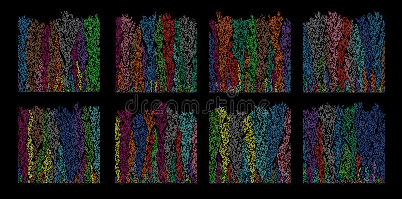 Cellular Automaton Diffusion-Limited Aggregation Structures Set Stock ...