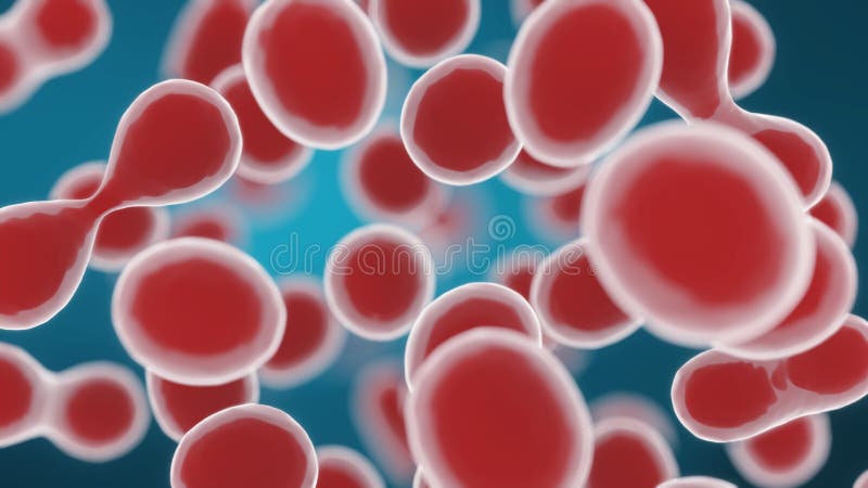 Cellular mitosis stock illustration. Illustration of fiber - 82573848