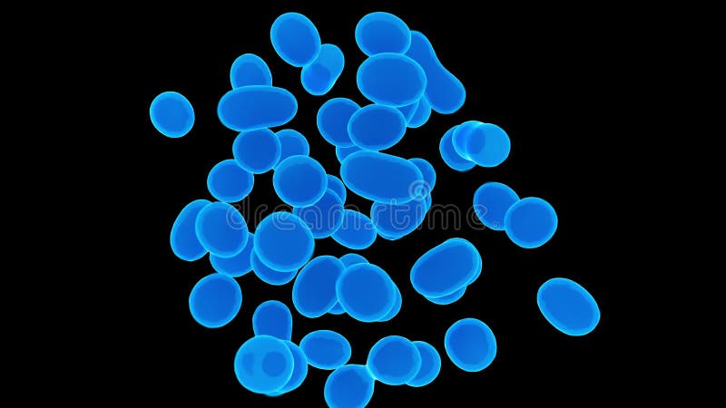 Cellular Division Under Microscope Stock Footage - Video of biology ...