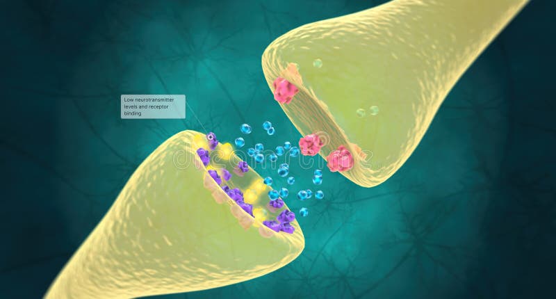The Cellular Mechanism of Depression Stock Illustration - Illustration ...