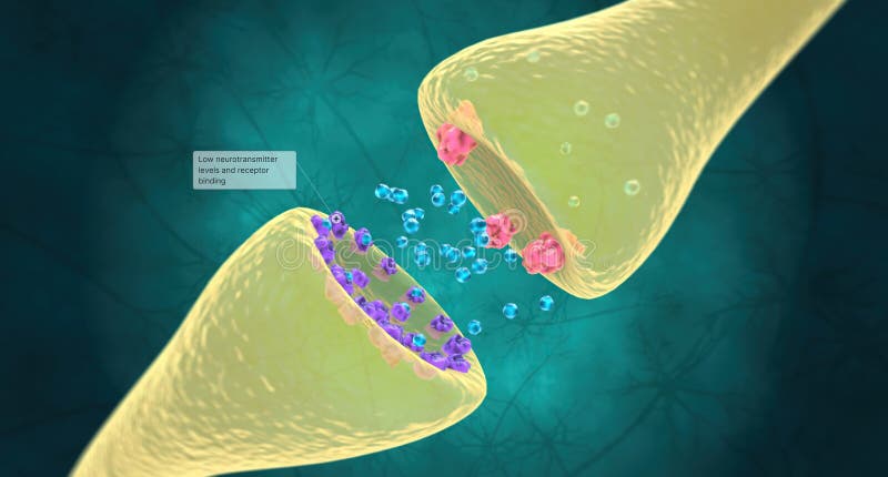 The Cellular Mechanism of Depression Stock Illustration - Illustration ...