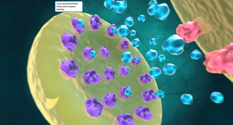 The Cellular Mechanism of Depression Stock Illustration - Illustration ...
