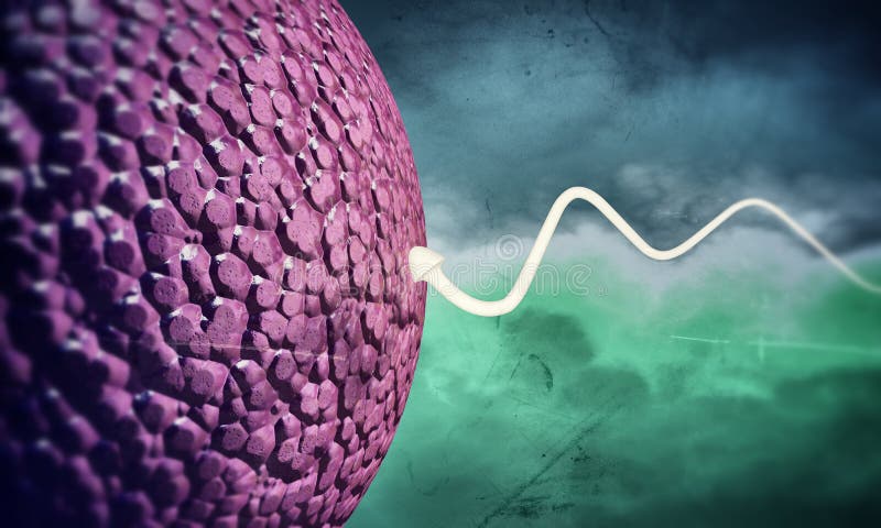 Cellule d'ovule humain illustration stock. Illustration du bleu - 25830493