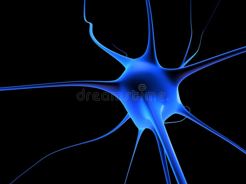 Anatomie Des Cellules Neuronales Illustration Stock - Illustration du ...