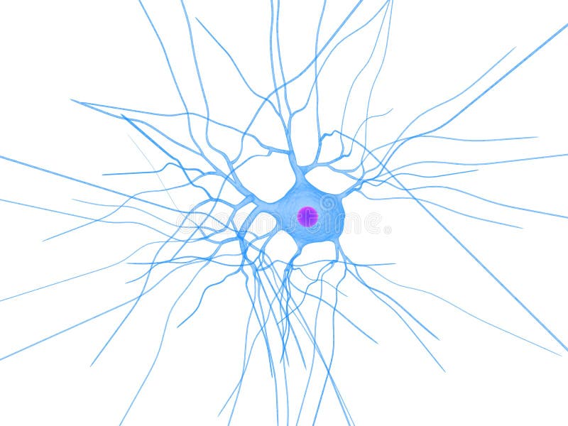 Cellule nerveuse illustration stock. Illustration du synapse - 13803461