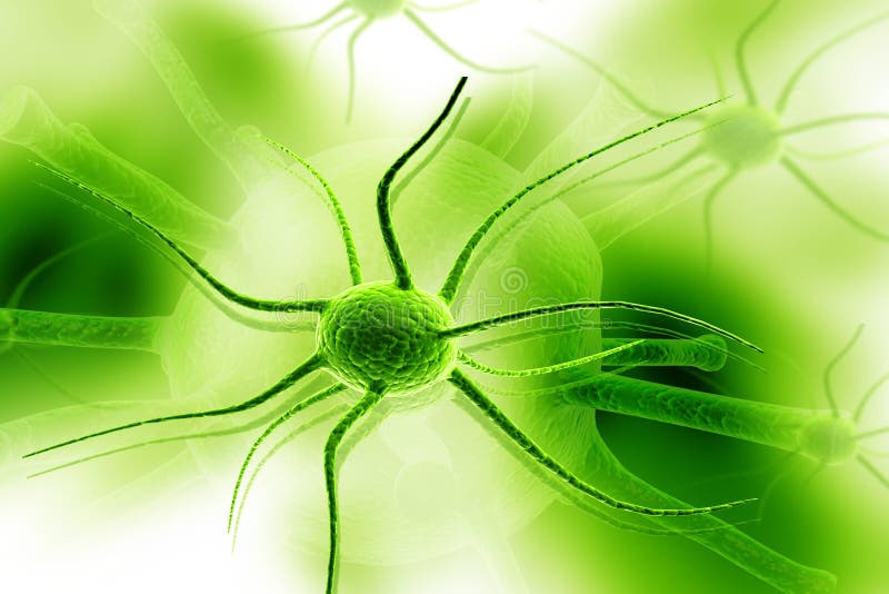 Cellule nerveuse 3d illustration stock. Illustration du noyau - 16698863