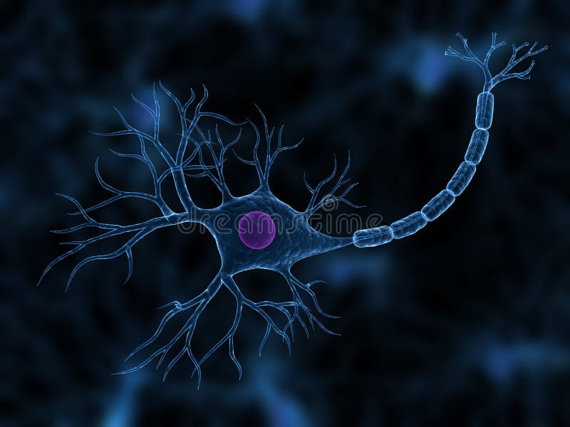 Cellule nerveuse illustration stock. Illustration du médical - 5498790