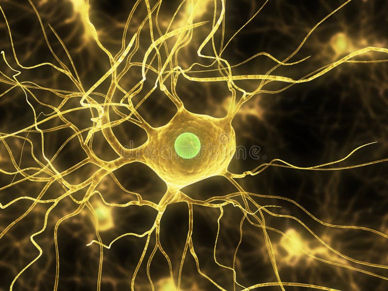 Cellule nerveuse illustration stock. Illustration du cerveau - 7726034