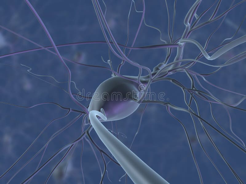 Nerf De L'oeil Humain Sous La Vue Du Microscope Illustration Stock ...