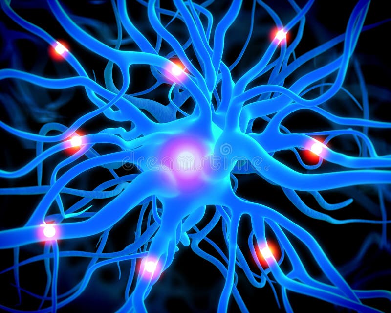 Cellule Nerveuse Ou Neurones Actifs Illustration Stock - Illustration ...