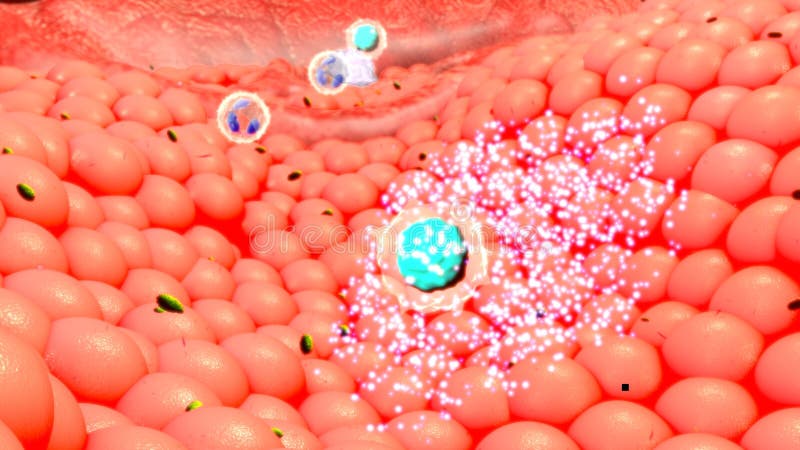 Cellules de corps image stock. Image du membrane, flagelle - 73449269