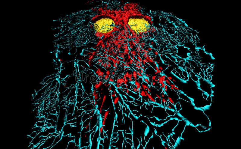 Cellules De Fibroblaste Mpressionistic Photo stock - Image du science ...