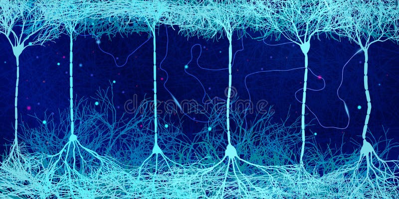 Illustration De L'anatomie D'un Neurone. Infographie Vectorielle ...