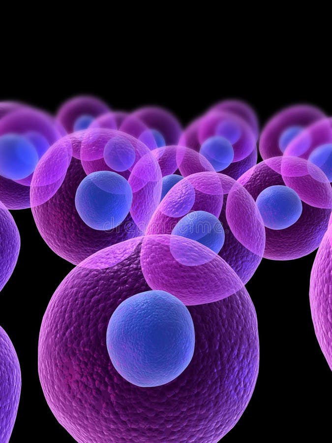 Cellules humaines illustration stock. Illustration du microscopique ...