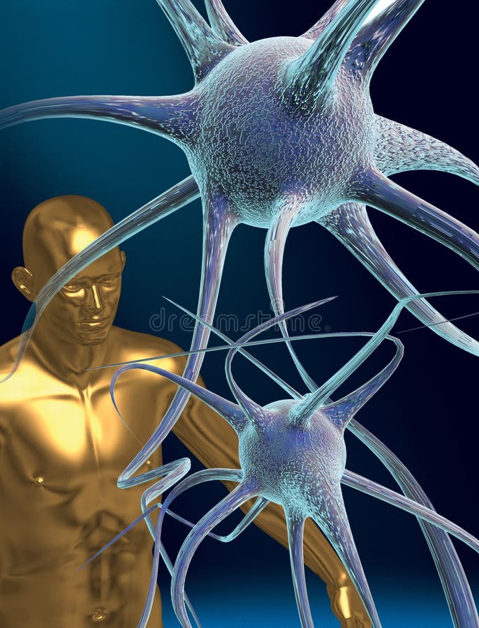 Cellules nerveuses illustration stock. Illustration du biologique ...