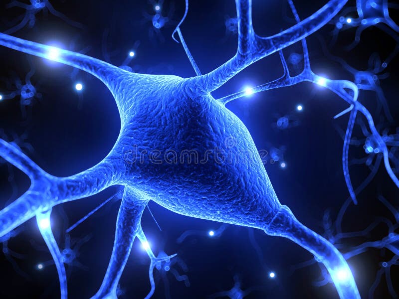 Cellules nerveuses actives illustration stock. Illustration du anatomie ...