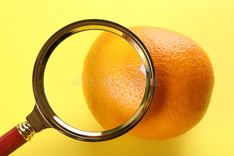 Cellulite Problem. Orange and Magnifying Glass on Yellow Background ...