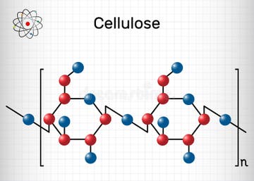 Cellulose Stock Illustrations – 4,373 Cellulose Stock Illustrations ...
