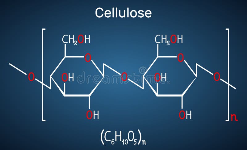 Cellulose. Education Infographic. Vector Design. Stock Vector ...