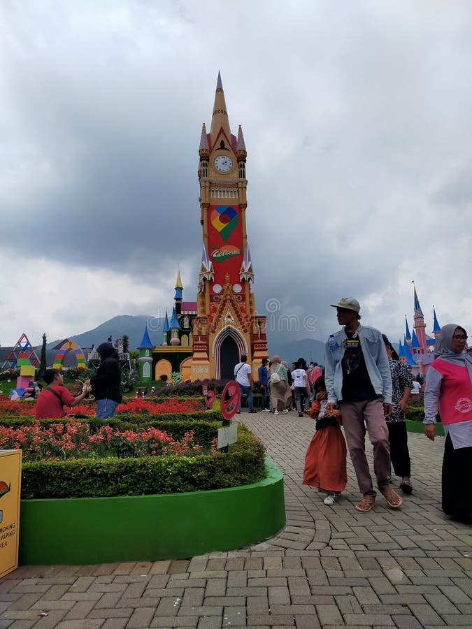Celosia Flower Garden at Semarang Central Java Indonesia Editorial ...